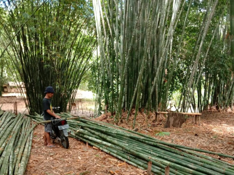 Berbasis Budidaya dan Kerajinan, Tim Dosen Unsulbar Bakal Launching ...